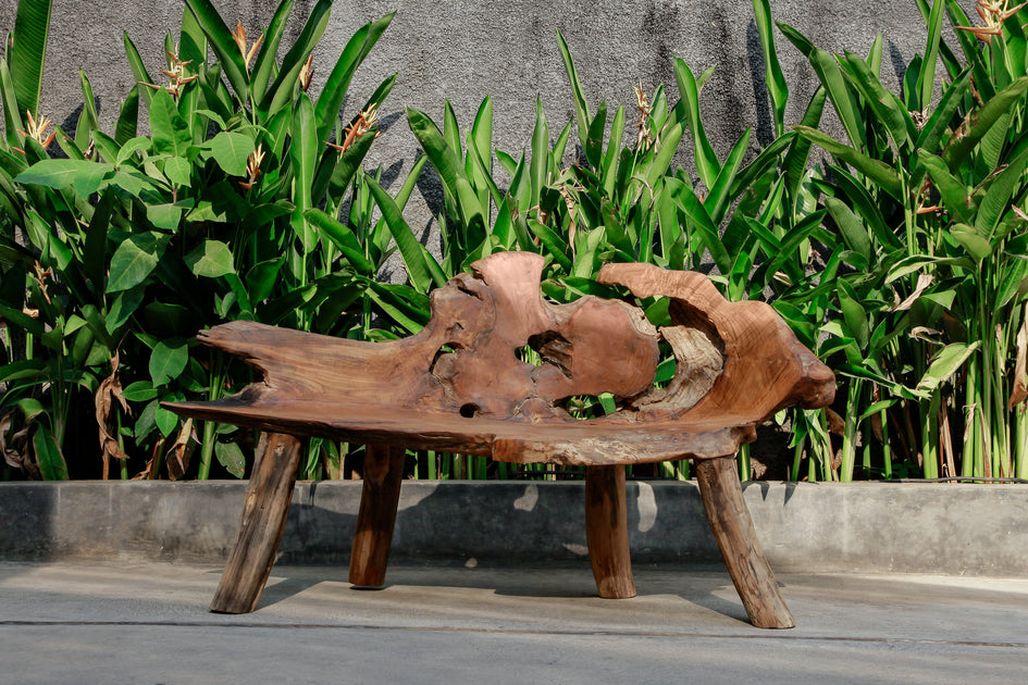 Root Wood Bench 1200mm – The Springs Garden World